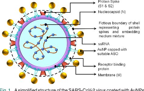 Figure 1 From Sars Cov 2 Detection Using Colorimetric Plasmonic Sensors A Proof Of Concept
