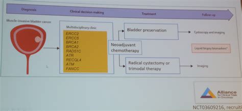 Siu 2019 Debate Chemotherapy Is Better Than Immunotherapy As