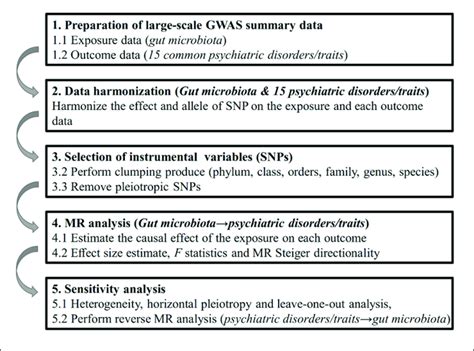 Diagrammatic Description Of The Whole Workflow In Mr Analysis A