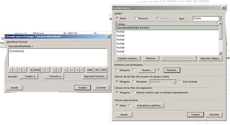 Custom Fields With Empty Values On Ms Project Project Management