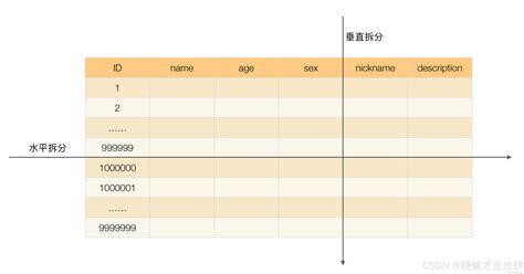 shardingsphere学习记录 apache shardingsphere csdn博客
