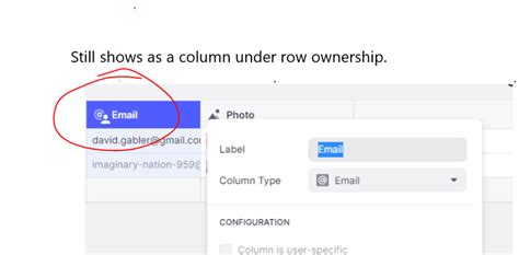 lookup column for profile pic does not show in list but shows in data