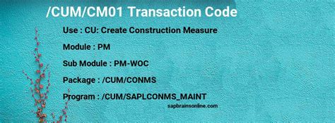 CUM CM01 SAP Tcode For CU Create Construction Measure
