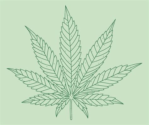 Weed Leaf Vector