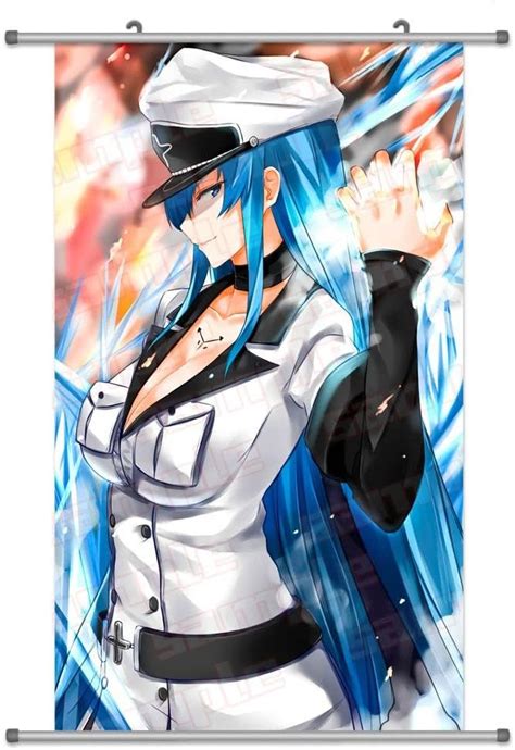 A Wide Variety Of Akame Ga Kill Anime Characters Wall