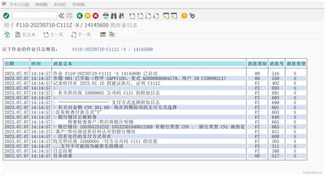 【sap 异常解决 】 f110 自动付款参数 sap f110 csdn博客