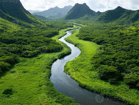 Aéreo Ver De Un Río Devanado Mediante Un Lozano Verde Valle 55874983