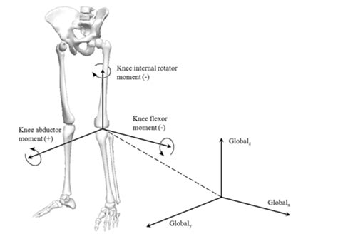 Definition Of Experimental Coordinate System Download Scientific Diagram