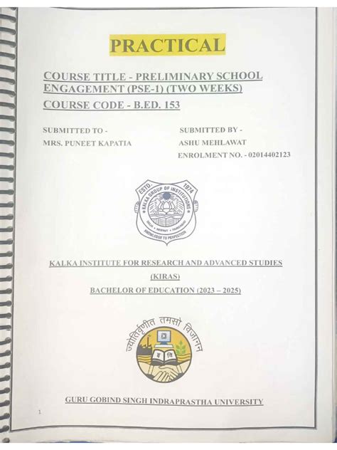 pse practical file pdf