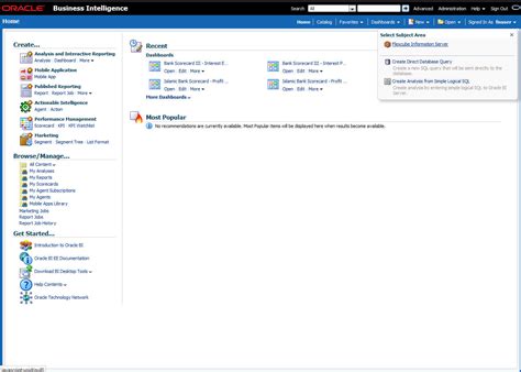 2 Oracle Flexcube Information Server