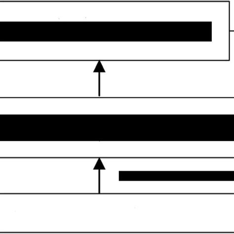 The Proposed Algorithm Scheme Mixing Computational Intelligence With