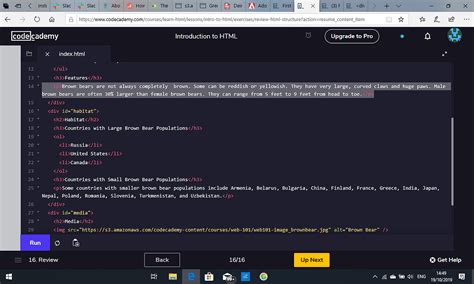 And Elements Seem To Do The Same Thing What Are The Differences Between The Two HTML FAQ