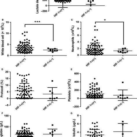 The Relationships Between Hif‐1α Expression In The Myeloid Tissues Of
