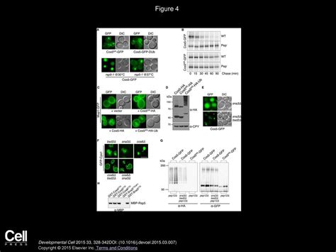 volume 33 issue 3 pages may 2015 ppt download