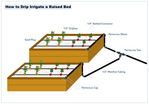 Drip Irrigation System Flower Beds