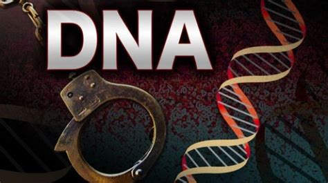 Rapid Dna Testing Can Identify The Criminals Within Two Hours