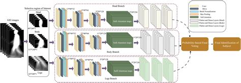 Csse Free Full Text A Triplet Branch Convolutional Neural Network