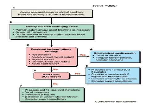 Algoritma Obat Obat Emergency Cardiovascular YULIATI Fakultas Ilmu