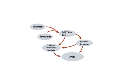 Age Reader Más Información