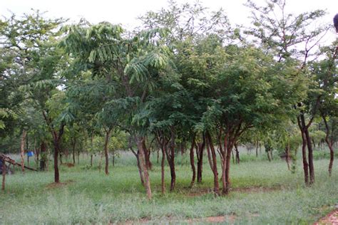 Life Every Day My OTHER Human Moment