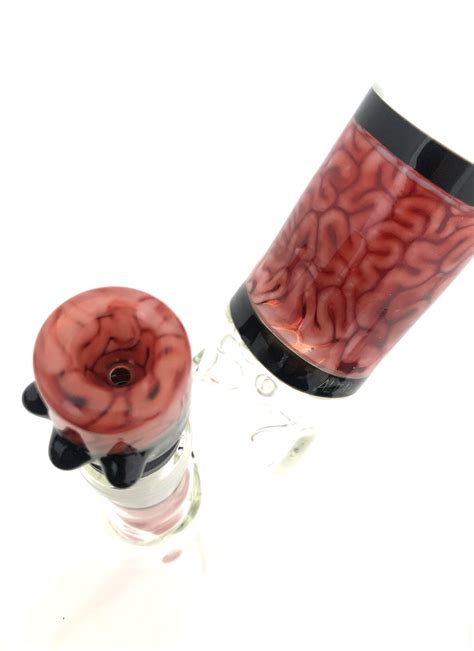 Algae Glass 16 5″ Red Algae Brain Tek Beaker 710 Kingston