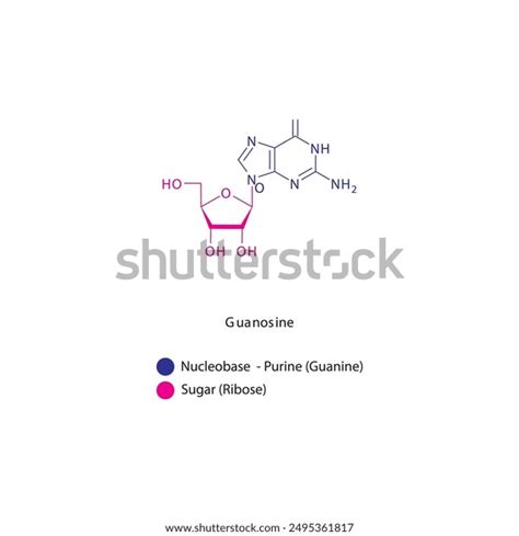 Guanosine Skeletal Structure Schematic Illustration Nucleoside Stock