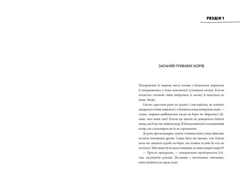 Minecraft Втрачені щоденники Мер Лафферті — купити книгу за 400 грн у Readeat