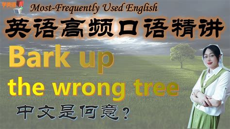 Bark Up The Wrong Tree 中文意思你知道吗？英语高频口语 详细的中英文讲解 让英汉学习更轻松 Youtube