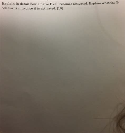 Solved Explain In Detail How A Naive B Cell Becomes