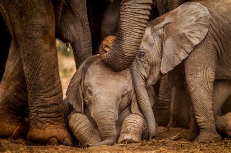 Global Indexes In PostgreSQL Implementation And Use Cases Explained