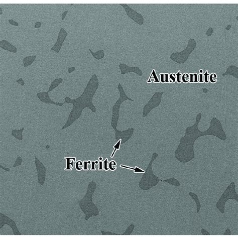 Sem Microstructure Of As Received Z3cn2009m Cast Austenite Stainless