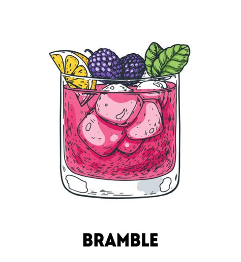 30 Gin Bramble Stock Illustrations Royalty Free Vector Graphics And Clip Art Istock