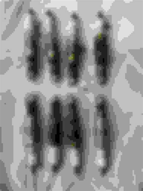 54 Plugs Ford F150 Forum Community Of Ford Truck Fans