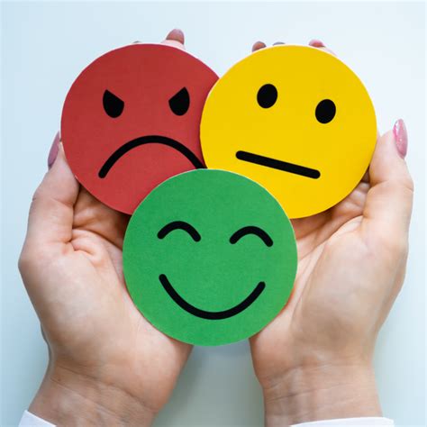 Perception And The Power Of Feedback