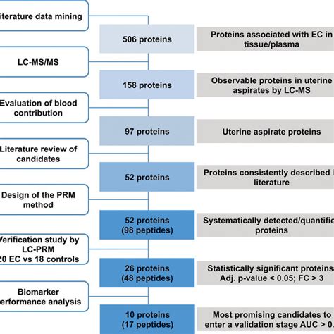 Experimental Design Stepwise Workflow For The Selection And
