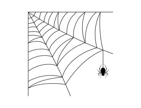 Spider Web Spiderweb And Spider Hanging 59837868 Vector Art At Vecteezy