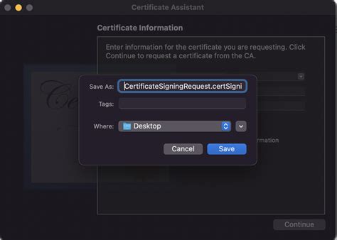 How To Setup IOS App With Apple Developer Account And TestFlight From Scratch