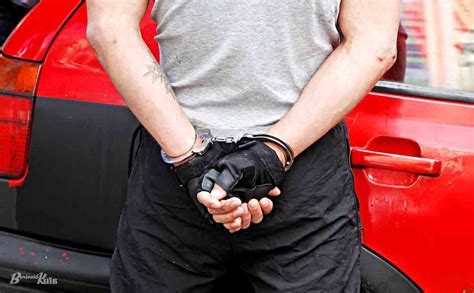 На Київщині затримали кінолога який служив окупантам Вечірній Київ