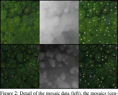 Figure 2 From Comparison Of Algorithms For Tree Top Detection In Drone