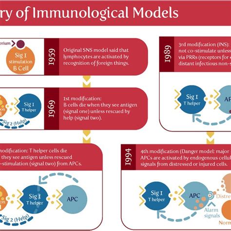 Matzingers “danger Model” Vs The Classical Theory Of Self Vs