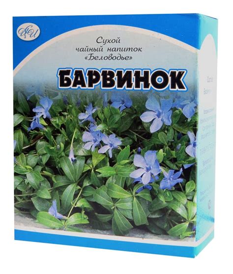 Барвинок: лечебные свойства, применение в народной медицине ...