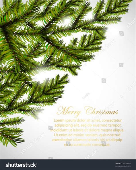Pine Tree Border Design Stock Vector Illustration 66185026 Shutterstock
