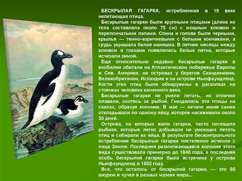 Животные Красной книги презентация онлайн