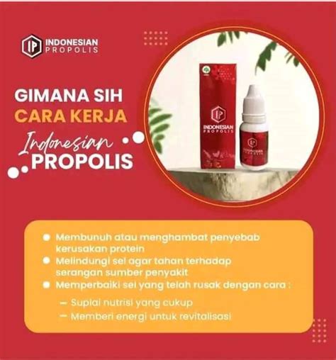 Indonesian Propolis Pulau Punjung Pusat Penjualan And Bisnis