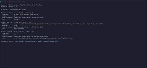 Warning Multiple Different Client Offsetencodings Detected For Buffer