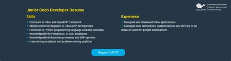 Interview With A Remote Odoo Developer Mobilunity