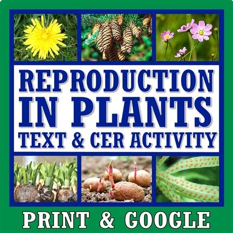 Plants Reproduction
