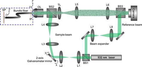 Schematic Layout Of The Experimental Setup Interference Microscope Download Scientific Diagram