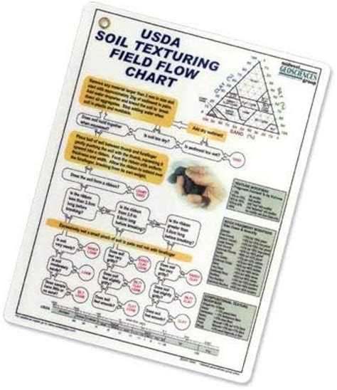 Usda Soil Texturing Field Flow Chart Ph
