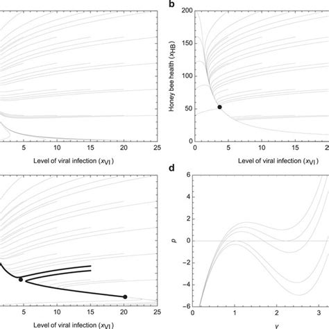 The Equilibria And Some Orbits Of The Full System In The Projected